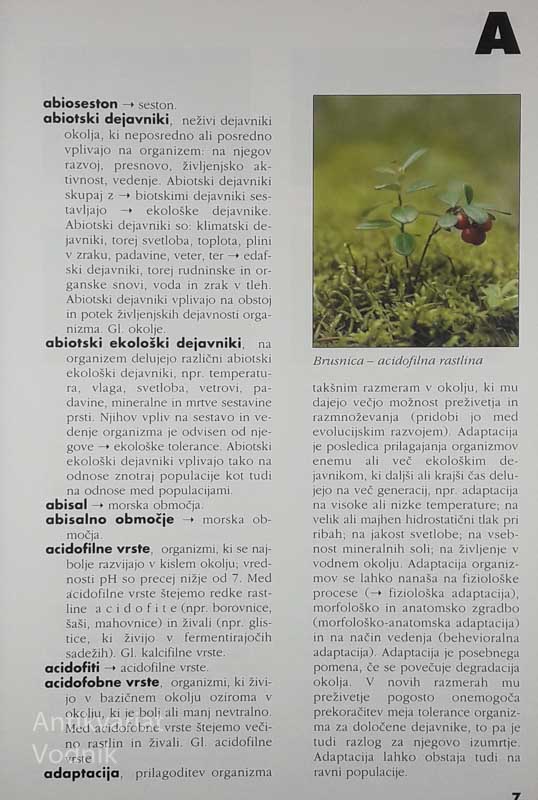 SLOVAR EKOLOGIJE, Alina Stankiewicz – Antikvariat Vodnik